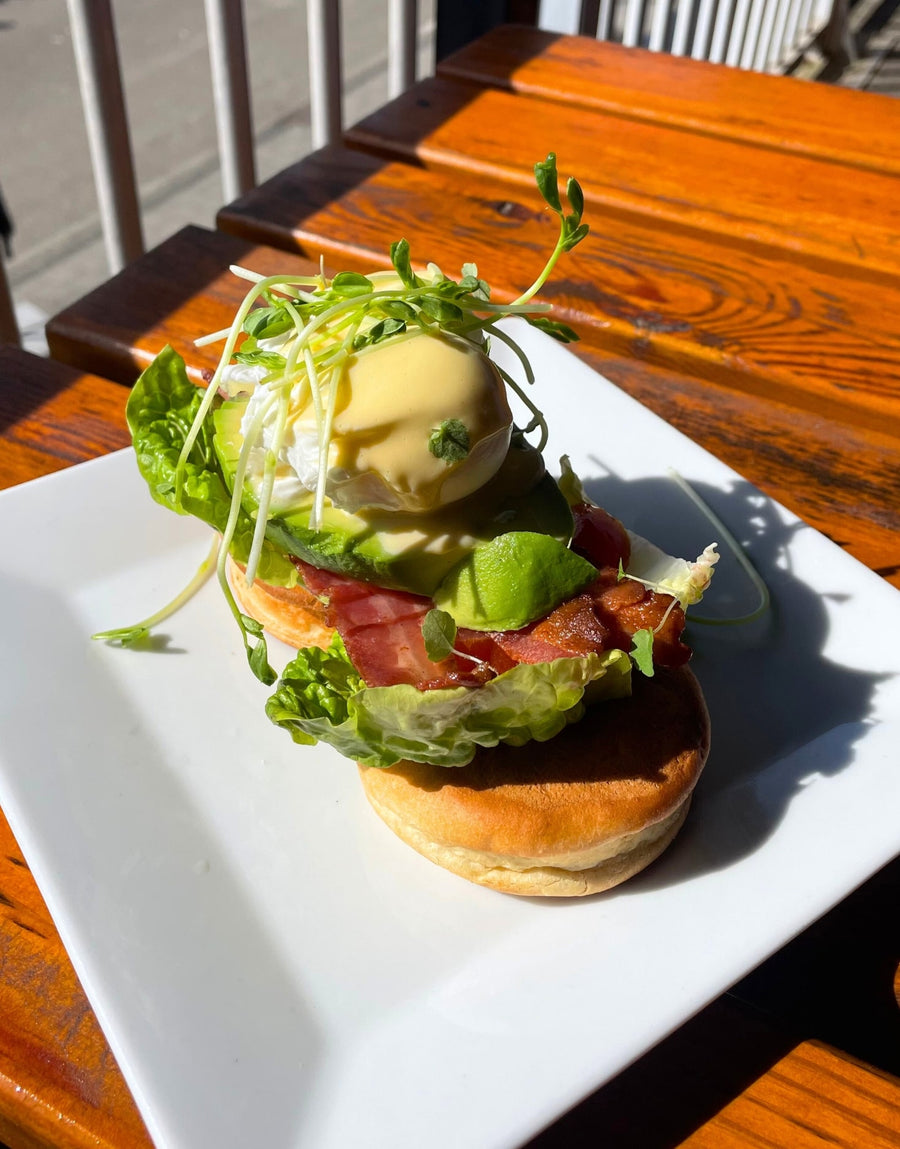 Panacea Cookbooks – Panacea Palm